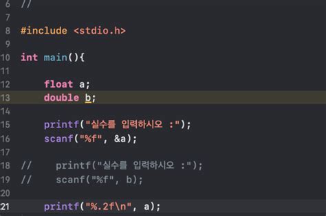 c언어 자료형 float double 구분 및 형식 지정자 정리 네이버 블로그