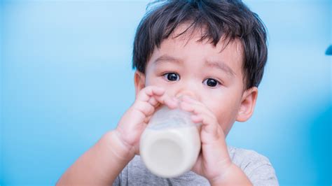 Como é Feito O Diagnóstico Da Aplv Dra Mariana Nogueira De Paula