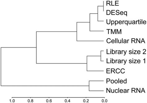 correlation of different normalization methods the hierarchical