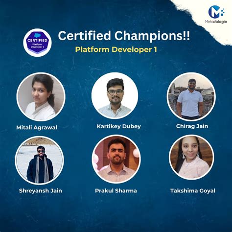 Salesforcecertified Platformdeveloper Certification Teamexcellence… Metadologie