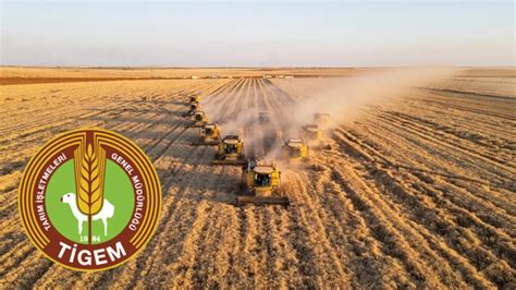 Tİgem 254 Sürekli Işçi Alımı Başvuruları Ne Zaman şartları Neler