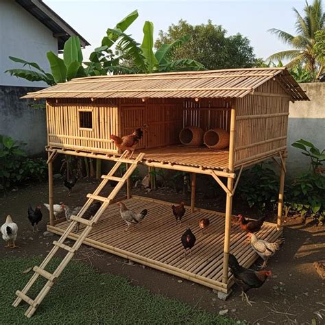 9 Model Kandang Ayam Bambu Tingkat Efisiensi Maksimal Di Lahan Terbatas