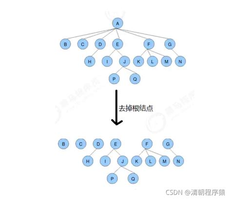 Java数据结构 二叉树binarytree（九）java二叉树英文 Csdn博客