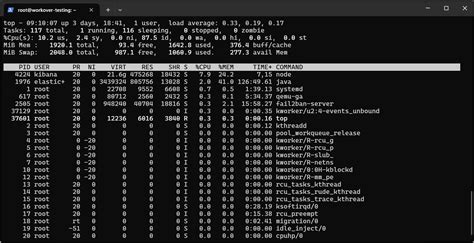 How To Check Linux Cpu Usage Or Utilization 5 Ways