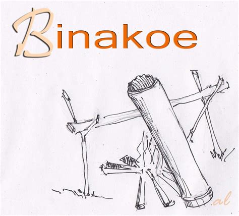 Approximating Binakoe