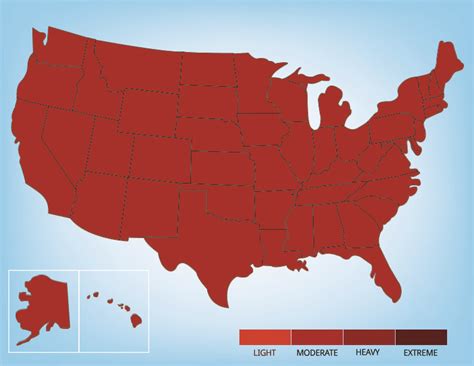 Wasp And Hornet Identification What Does A Wasp Look Like