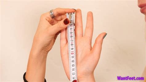 SIZE COMPARISON Videos And Porn Clips Clips4Sale