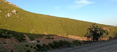 Thisv Thisvi Village Viotia Greece Θίσβη Βοιωτία Ελλάδα