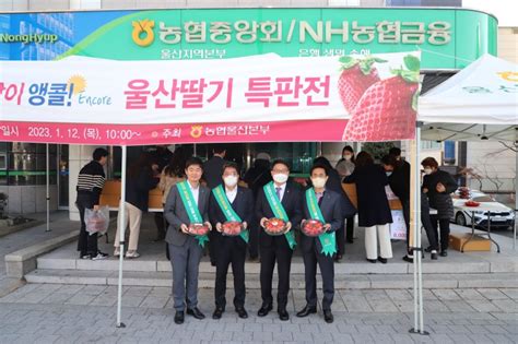 울산소식 농협 지역 우수 농산물 직거래 장터 운영 등 파이낸셜뉴스