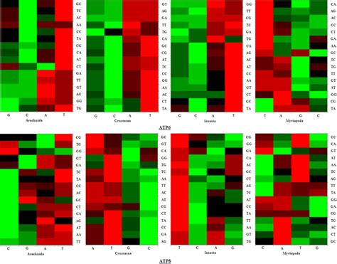 heatmap showing correlation between codon usage and gc3 of atp6 and