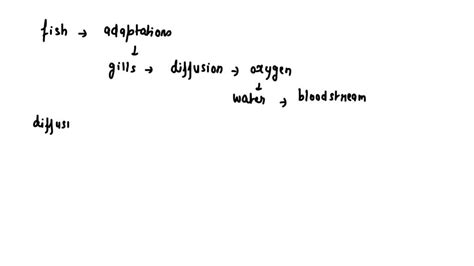 solved fick s first law of diffusion involves 3 key variables that
