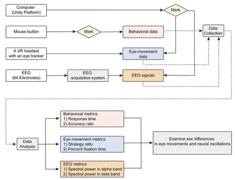 Medicine In Novel Technology And Devices On Linkedin Sex Differences In Eye Movements And