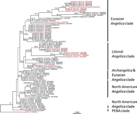 A Taxonomic Revision Of The Genus Angelica Apiaceae In Taiwan With A