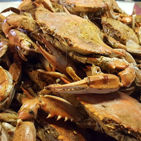 Maryland Blue Crabs Fresh Seafood Catch