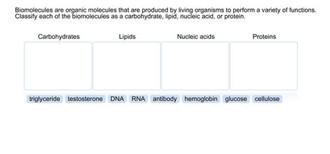 [solved] Classify Each Of The Biomolecules As A Carb Lipid Nucleic Acid Course Hero