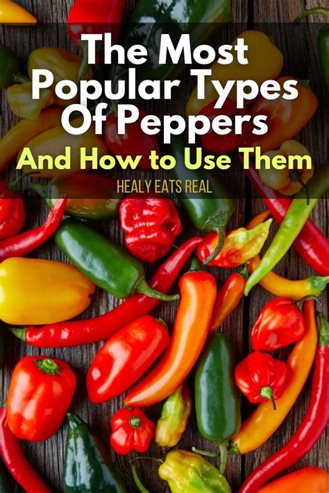 A Guide To The 16 Most Popular Types Of Peppers And How To Use Them