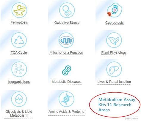 Isa Matos Posted On Linkedin