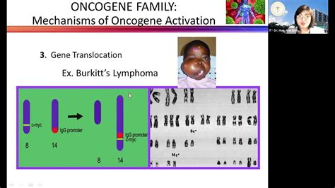 Oncogenesis Part 2 Youtube