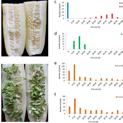 Pre Harvest Sprouting Phs And Its Frequency Distribution In The Download Scientific Diagram