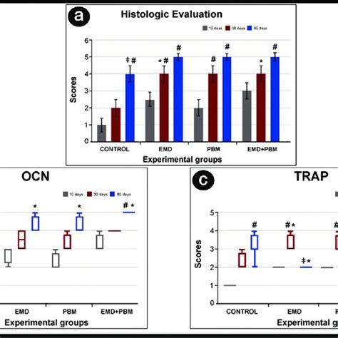 Photomicrographs Showing Newly Formed Bone Tissue Inside The Tibial