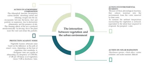 Effects Of The Interaction Between Vegetation And The Urban