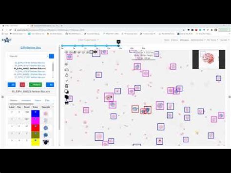 Github Deepmicroscopy Exact An Open Source Online Platform For Collaborative Image Labeling