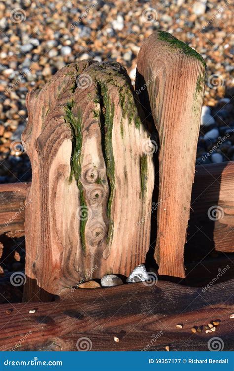 Wooden Groyne Groin Stock Image Image Of Groyne Algae 69357177