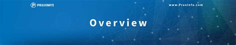 company overview about us praxinfo