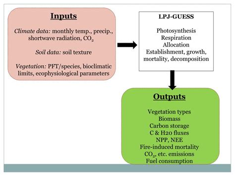 Ppt Modeling Vegetation Dynamics With Lpj Guess Powerpoint Presentation Id2456720