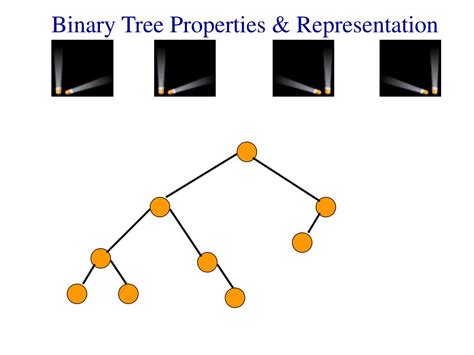 PPT Binary Tree Properties Representation PowerPoint Presentation ID 1266341