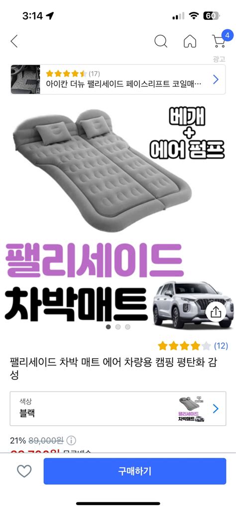 팰리세이드 차박 에어매트 팜 당근 중고거래