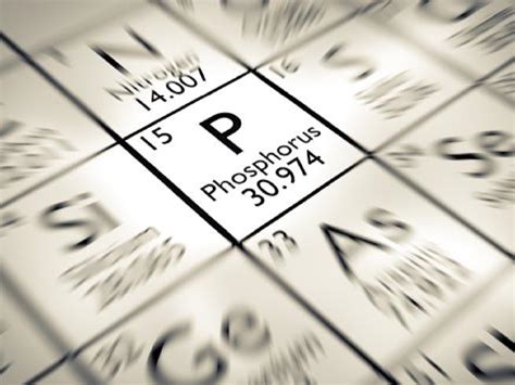 7 Phosphorus Rich Foods For Stronger Bones Muscles And Heart