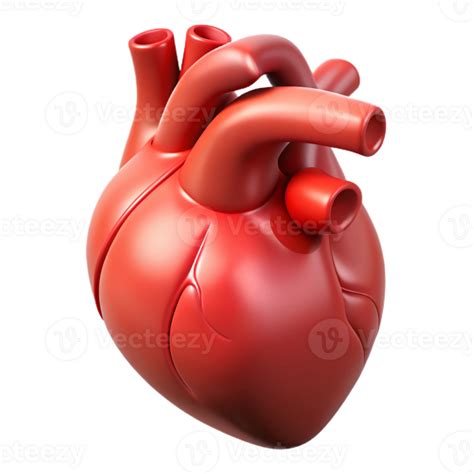 Picturesque Exceptional Hyper Specific Professional Render Of A Single Human Heart