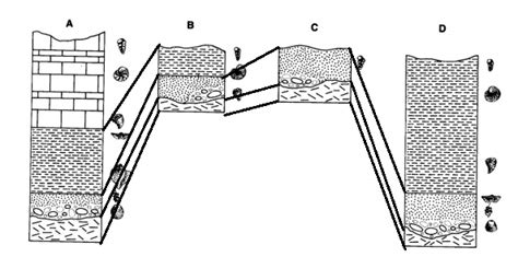 Solved 3 Complete A Lithologic Correlation Using Black Pencil Of