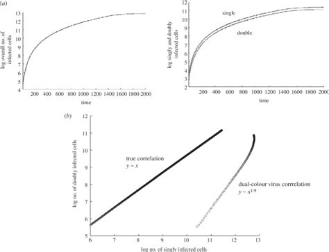 computer simulation results assuming highest spatial restriction with