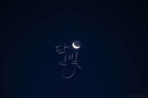 오늘의 아이패드 캘리그라피 022