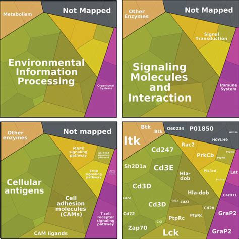 Functional Analysis And Identification Of Mutation Landscape Go
