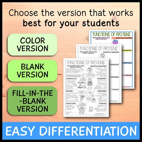 Proteins Doodle Notes Emmatheteachie