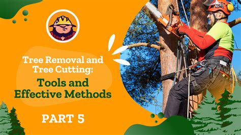 Arboriculture The Tree Dudes