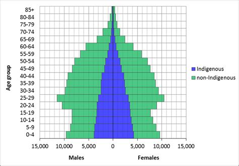 The Age Sex Structure Of The Northern Territory S Population By Download Scientific Diagram