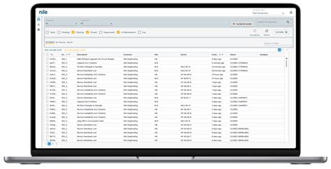 Bring Laser Focus On Network Uptime With The Nile Access Service Nile