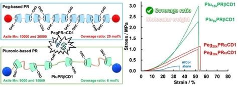 Synthesis Characterization And Potential Application Of Cyclodextrin Based Polyrotaxanes For