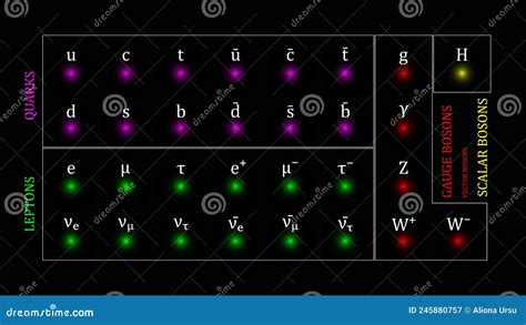 Standard Model Of Elementary Particles Stock Vector Illustration Of