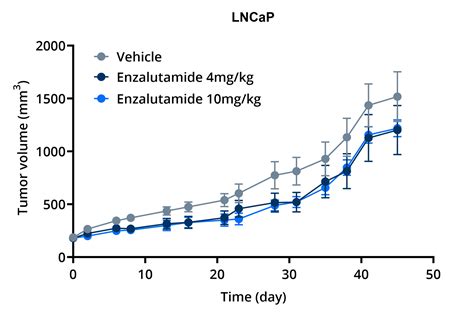 Cell Line Derived Models