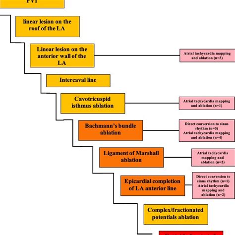 Figures Figure 1 Procedural Workflow Download Scientific Diagram
