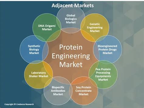 Protein Engineering Market By Size Share Revenue And Trends 2030