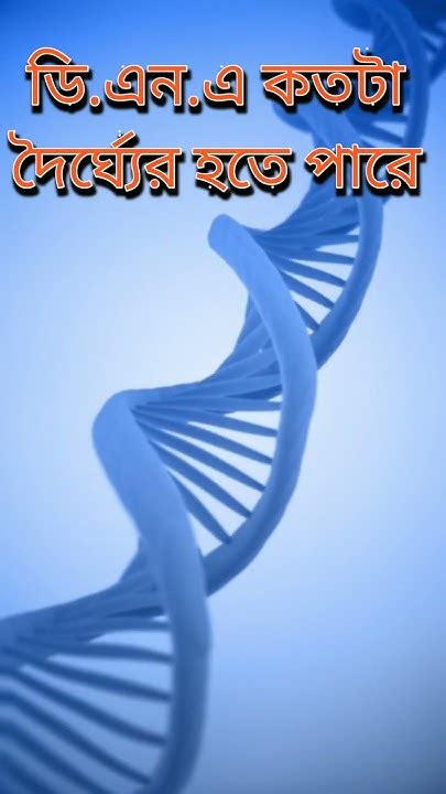 Dna Length Calculation Youtube