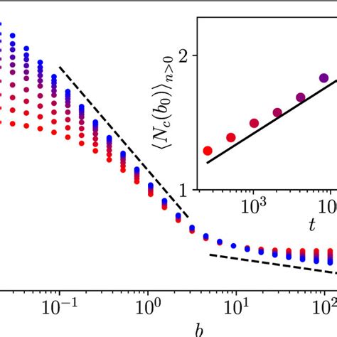 Results Of The Direct Numerical Simulation Of A Discrete Time Analogue