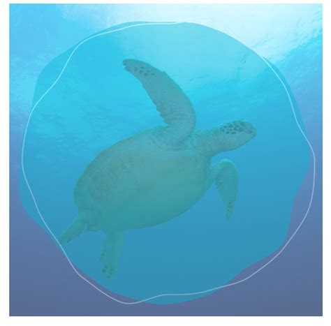 Css Hide Excess Part Of Image That Is Outside Of The Image In Front
