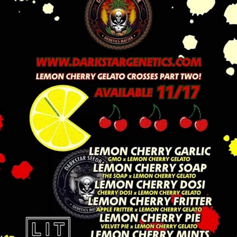 Lit Farms Lemon Cherry Dosi Darkstar Seedbank